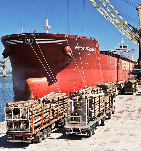 URCEL Exportaciones & Shipping