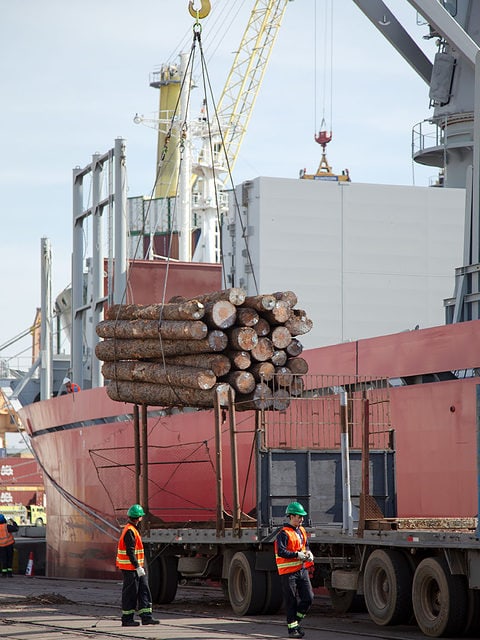 URCEL Logística: Operador Portuario