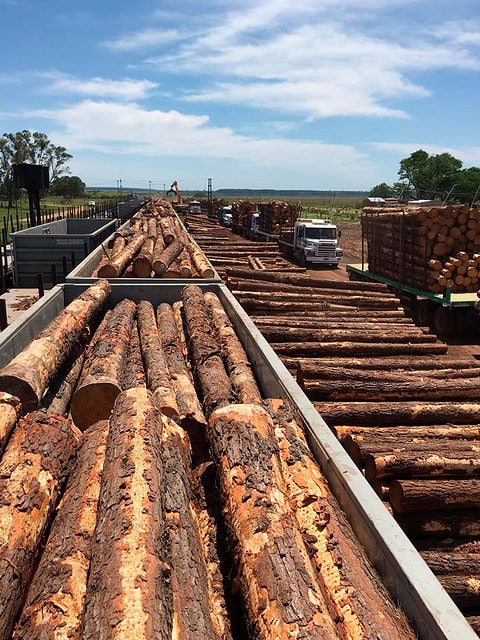 URCEL Logística: Transporte Terrestre